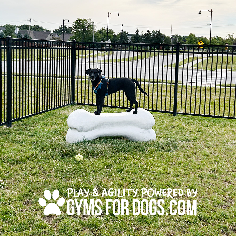 Puppy Playground Equipment Dog Playground Equipment | Puppy | Premier