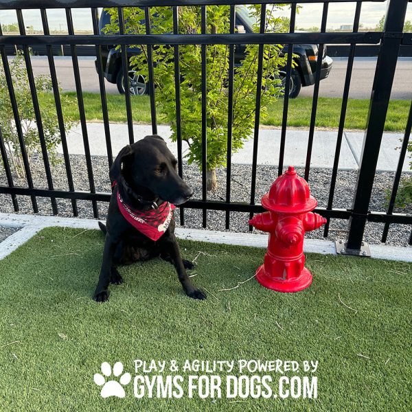 Red Portable Fire Hydrant - The Pet Waste Station