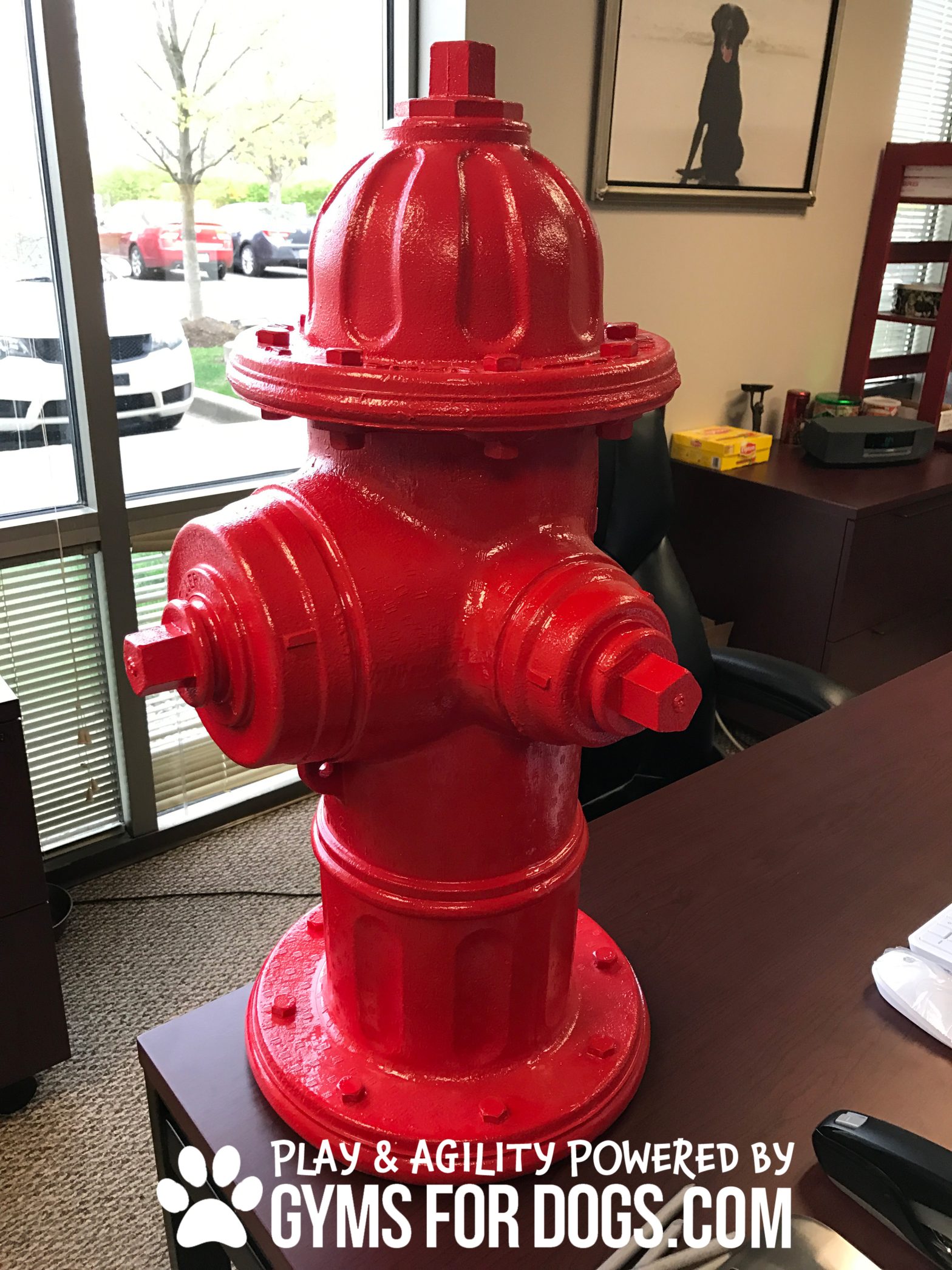 Fire Hydrant - Portable | Dog Waste Stations | Dog Poop
